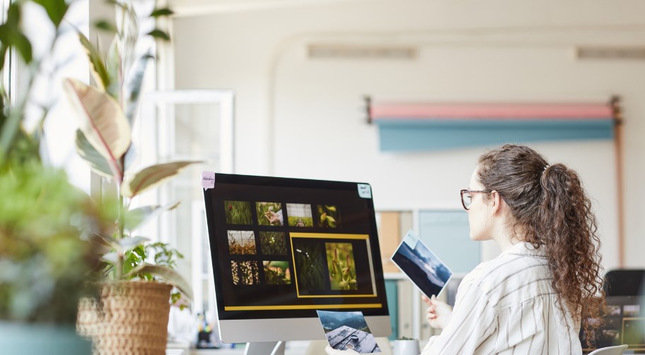 Trust at First Sight: How Visuals Influence User Perception and Loyalty?